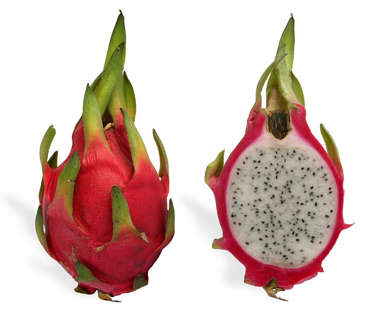 The Weirdest Fruits and Vegetables You've Ever Heard Of - Oddee