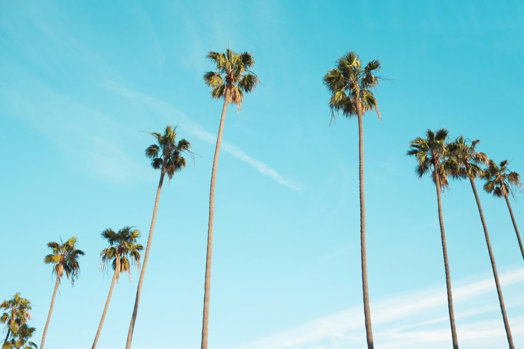 Fascinating Fun Facts All About California - Oddee
