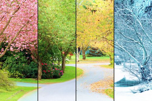 4 Seasons, 1 Photo, in 8 Places Around the World - Oddee