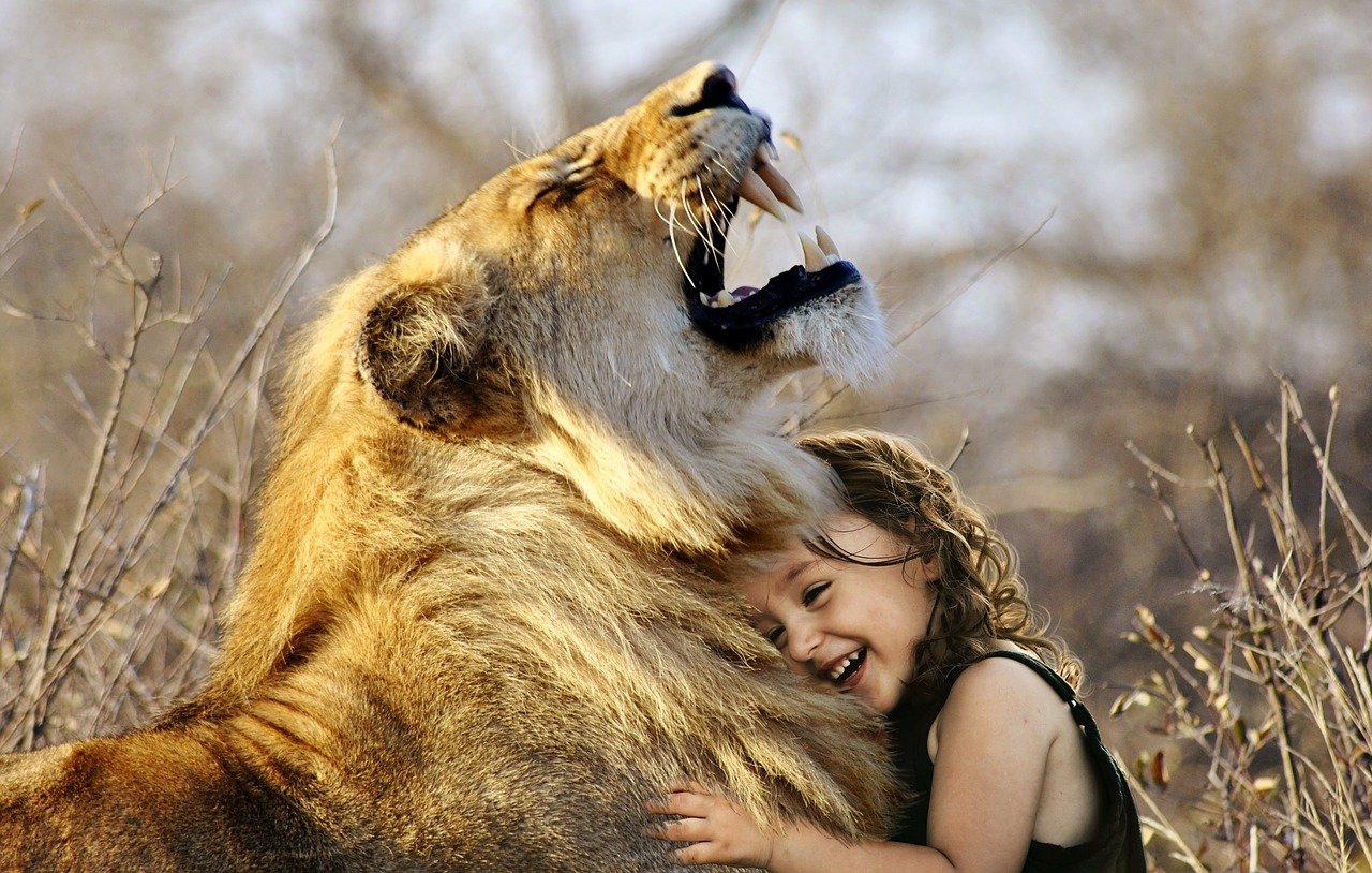 6 Weirdest Pets That You Can Legally Own Oddee 6-weirdest-pets-that-you-can-legally-own-oddee