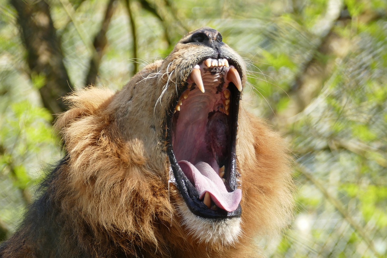 8 of the Most Hardcore Animals in the World - Oddee