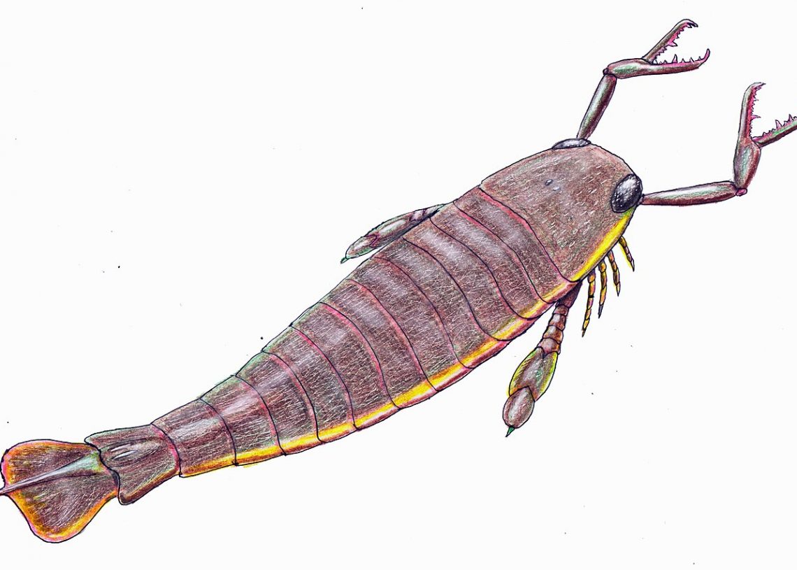 Index of /wp-content/uploads/2022/02/