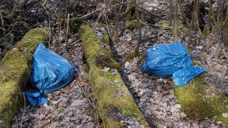 Vermont Town is Scrambling to Find the Mysterious Poop Dumper - Oddee