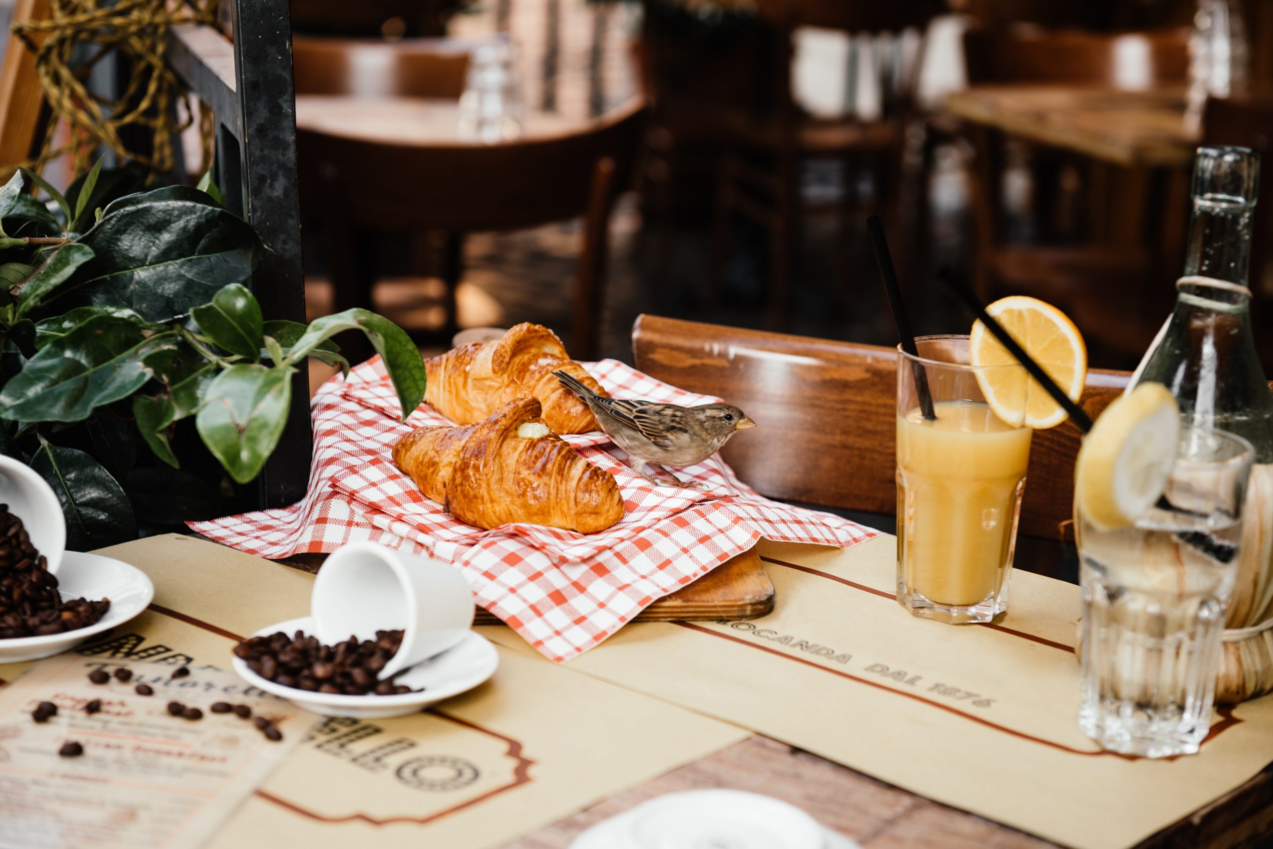 The Weirdest Animal Restaurants Around the World - Oddee