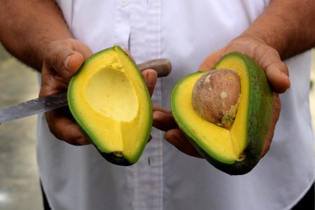 7 Surprising Facts that Prove Avocado is the Weirdest of Fruits - Oddee