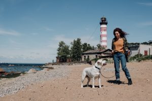 Lighthouse Fun Facts You Never Knew Before - Oddee
