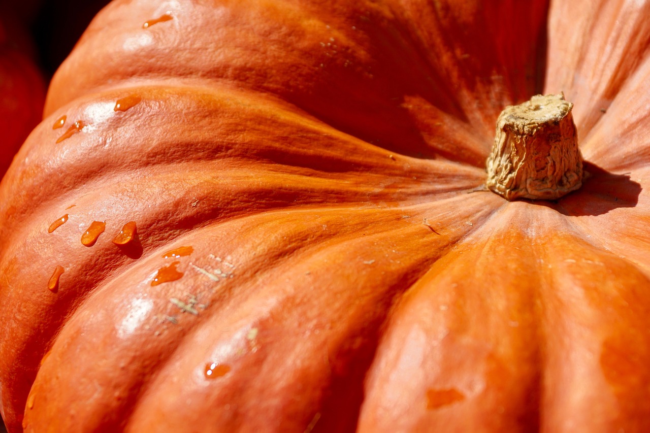 Lots Of Pumpkin Fun Facts For The Fall Oddee lots-of-pumpkin-fun-facts-for-the-fall-oddee