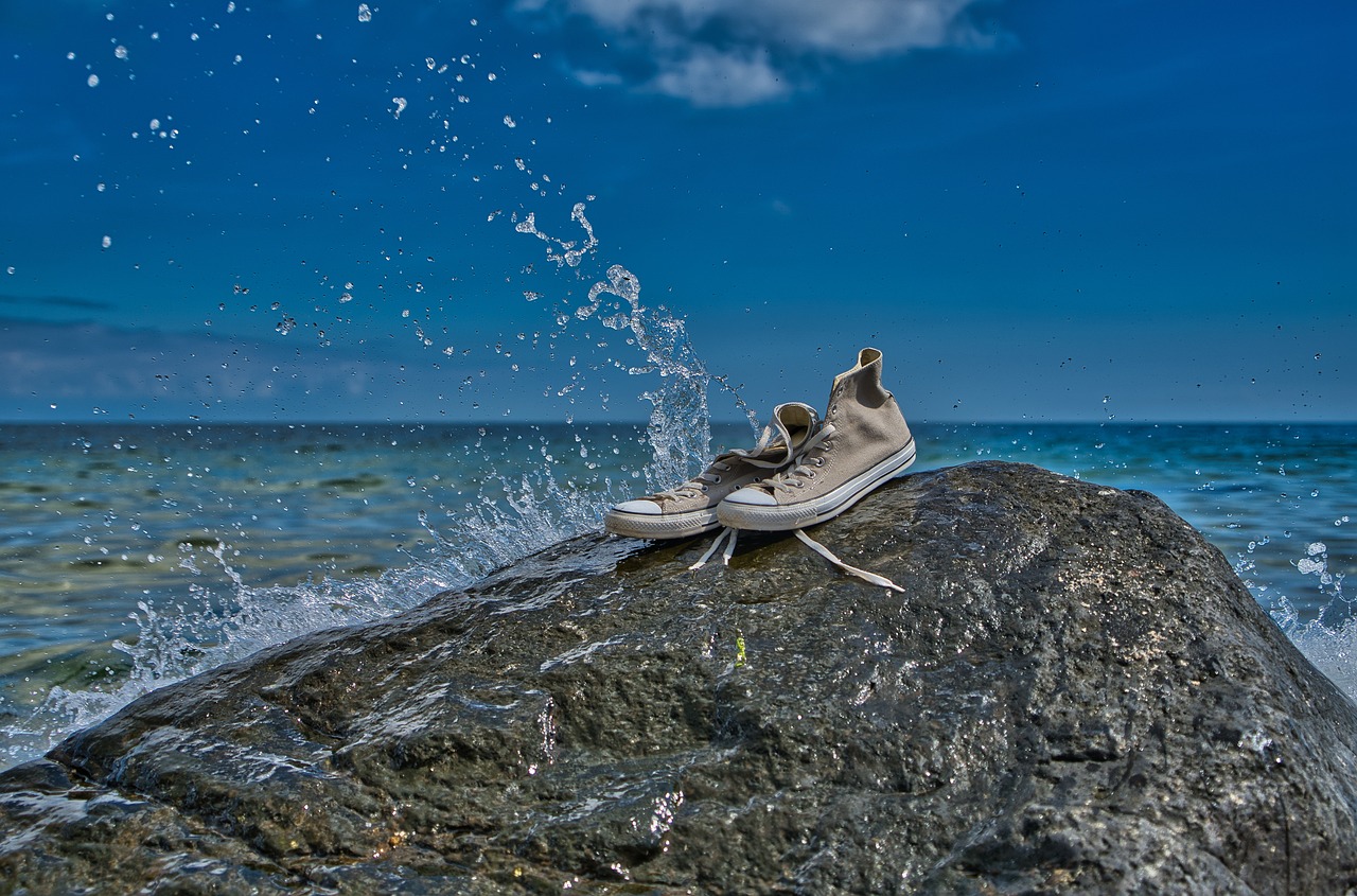 The Mystery of Salish Sea Feet is No Longer a Mystery - Oddee