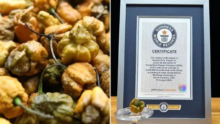 The Creator of Carolina Reaper Unveils ‘Pepper X’ — World’s New Hottest ...