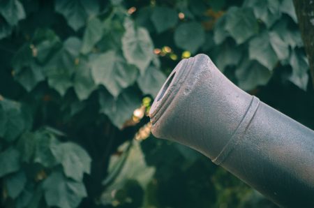 Odd News | Strange And Fascinating Stories From Around The World