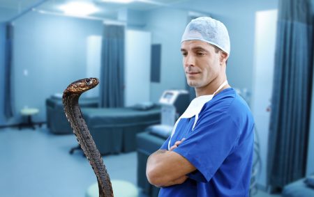 Australian Doctors Beg People to Stop Bringing Venomous Snakes to the ...