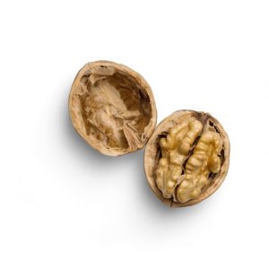 All The Walnut Fun Facts For National Walnut Day - Oddee