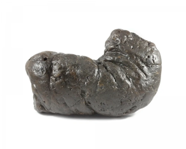 Poozeum: Arizona Man Quits His Job to Open a Museum of Fossilized Crap ...