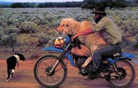 16 Funniest People on Motorcycles - funny people on motorcycles - Oddee