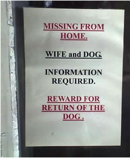 12 Funniest Lost & Found Pet Signs - lost signs, pet signs - Oddee