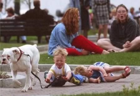 13 Hilarious Pictures of Walking The Dog - Oddee