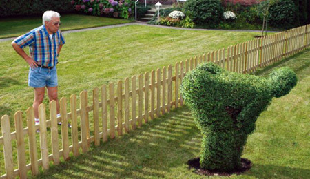 16 Hilarious Fence Fails - Oddee
