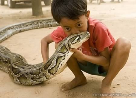 12 Shocking Pictures of Children With Dangerous Pets - shocking ...