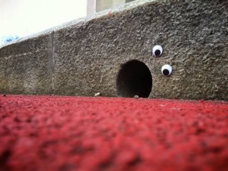 12 Coolest Examples of Eyebombing - eyebombing, eyebomb - Oddee