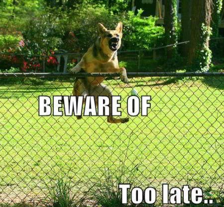 12 Hilarious Dog Signs - dog signs - Oddee