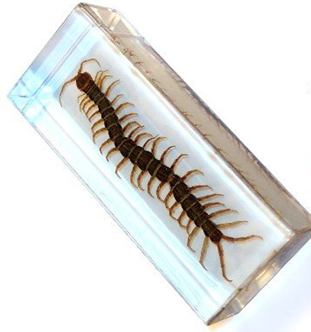 12 Coolest Paperweights - paperweight, paperweights - Oddee