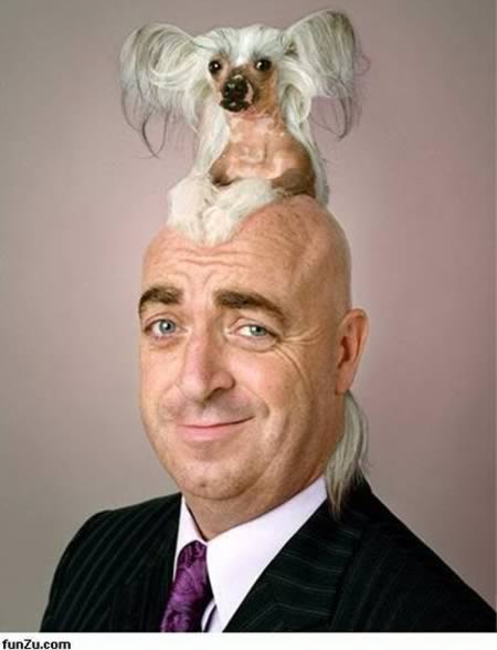 10 Wackiest Wigs - peruke, funny wigs - Oddee