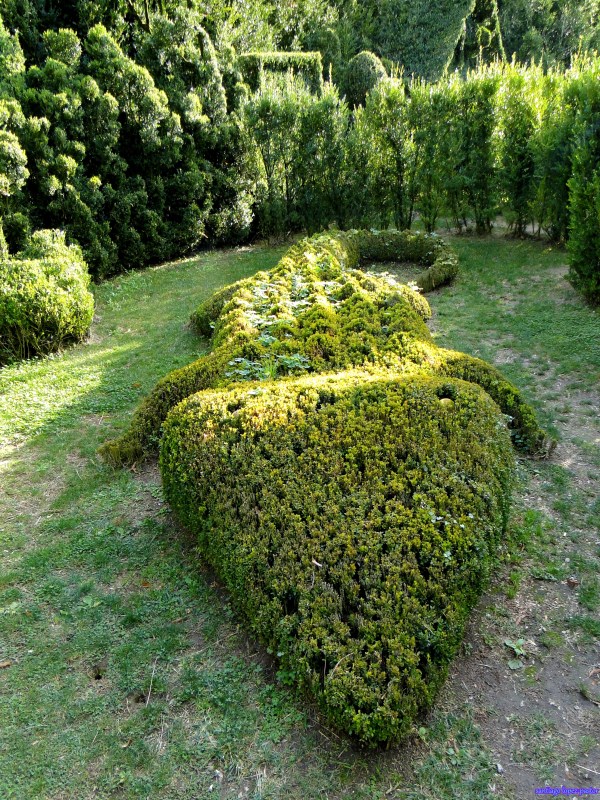 10 Coolest Displays of Topiary Art - topiaries, topiary plants - Oddee