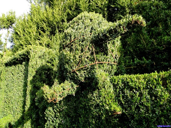 10 Coolest Displays of Topiary Art - topiaries, topiary plants - Oddee