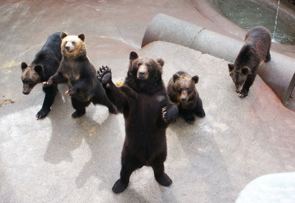 10 Scariest Human Cage Attraction Photos - Oddee