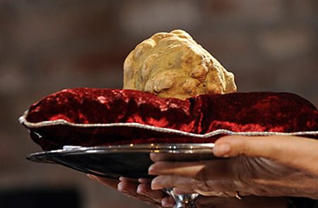 8 of the Most Commonly Faked Foods in the World - Oddee
