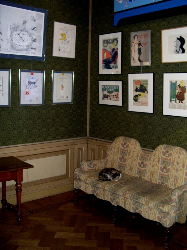 10 Strange Places Dedicated to Cat Obsession - Nikki Kreuzer, Nicole ...