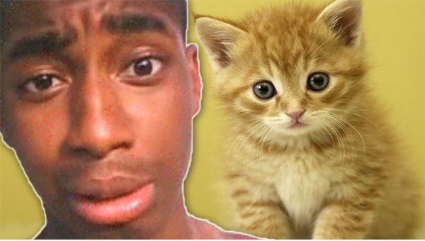 9 Cruel Cases of Animal Abuse That Went Viral - Oddee