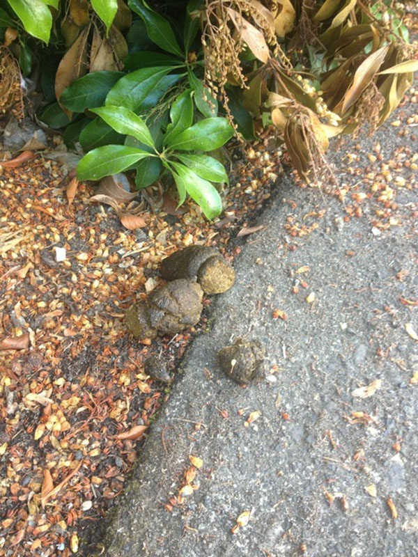 16 Weird Tumblr Accounts To Follow - Oddee