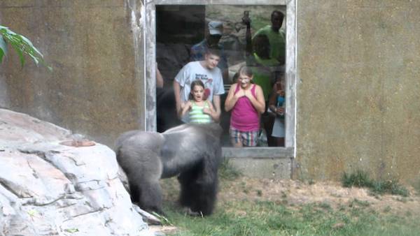 10 Amazing Zoo/Aquarium Animal and Human Interactions - Oddee