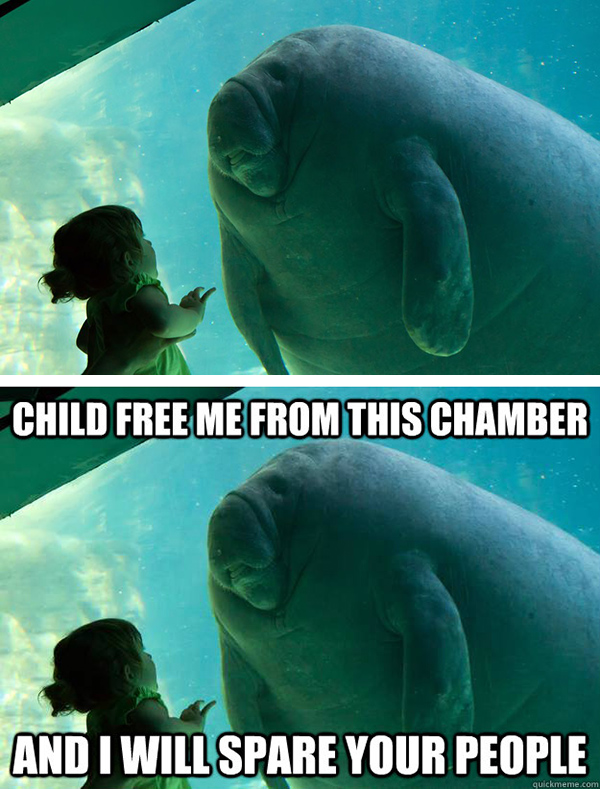 Manatee Overlord Memes Meme Creator Funny Oh The Humanatee Meme