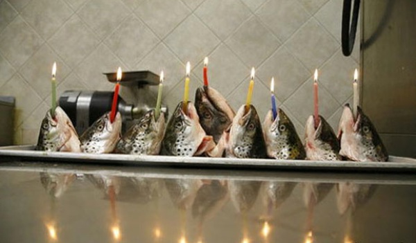 10 Weird Menorahs - Oddee