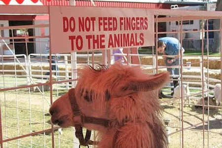 10 Most Bizarre Zoo Signs - Oddee
