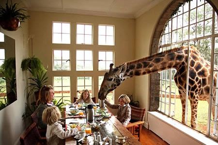 9 Most Unusual Pets - weird pets, strange pets - Oddee