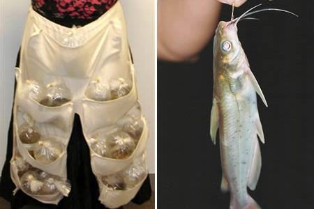 8 Weirdest Live Stuff Busted by Customs Control - Oddee