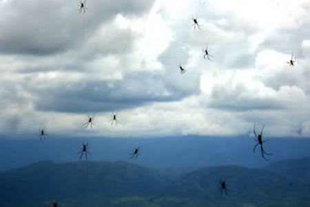 10 Craziest Things To Fall From the Sky - things that fall, sky fall ...