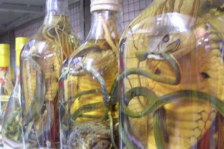 10 Most Bizarre Liquors and Alcoholic Drinks - weird alcoholic drinks ...