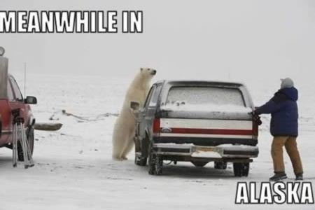 16 of the Best ‘Meanwhile in' Meme Pictures - meanwhile in memes ...