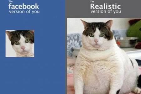 10 Funniest Cropped Pictures - cropped pics, cropped photos - Oddee