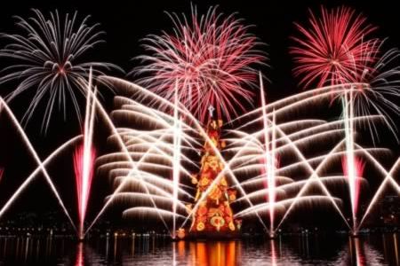 10 Most Amazing Christmas Trees From Around the Globe - amazing trees ...