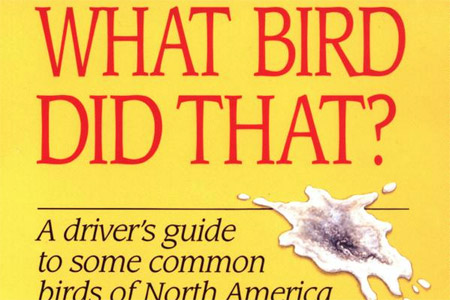 10 of the Weirdest Books of All Time - Oddee