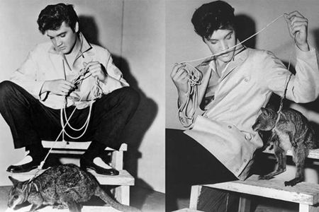 20 Famous People with Exotic Pets - pets, exotic, famous, celebrity - Oddee