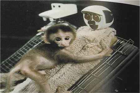 8 Weird Love Experiments - Oddee