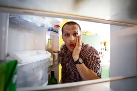 10 Incredible Stories of Refrigerators - "bizarre," "refrigerators ...