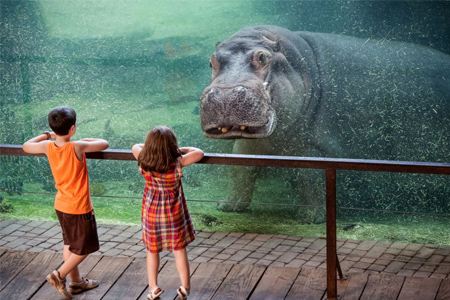 10 Amazing Zoo/Aquarium Animal and Human Interactions - Oddee