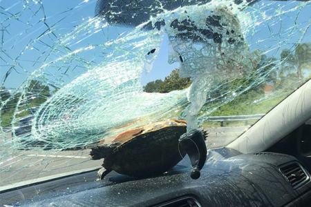 9 More Crazy Things To Fall From The Sky - Oddee